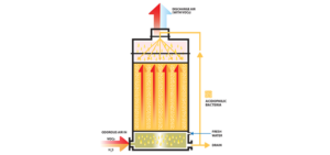 How do biotrickling filters and bioscrubbers differ? - BioAir