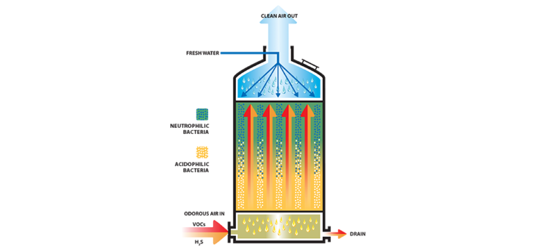 Biology in the biofiltration process - BioAir